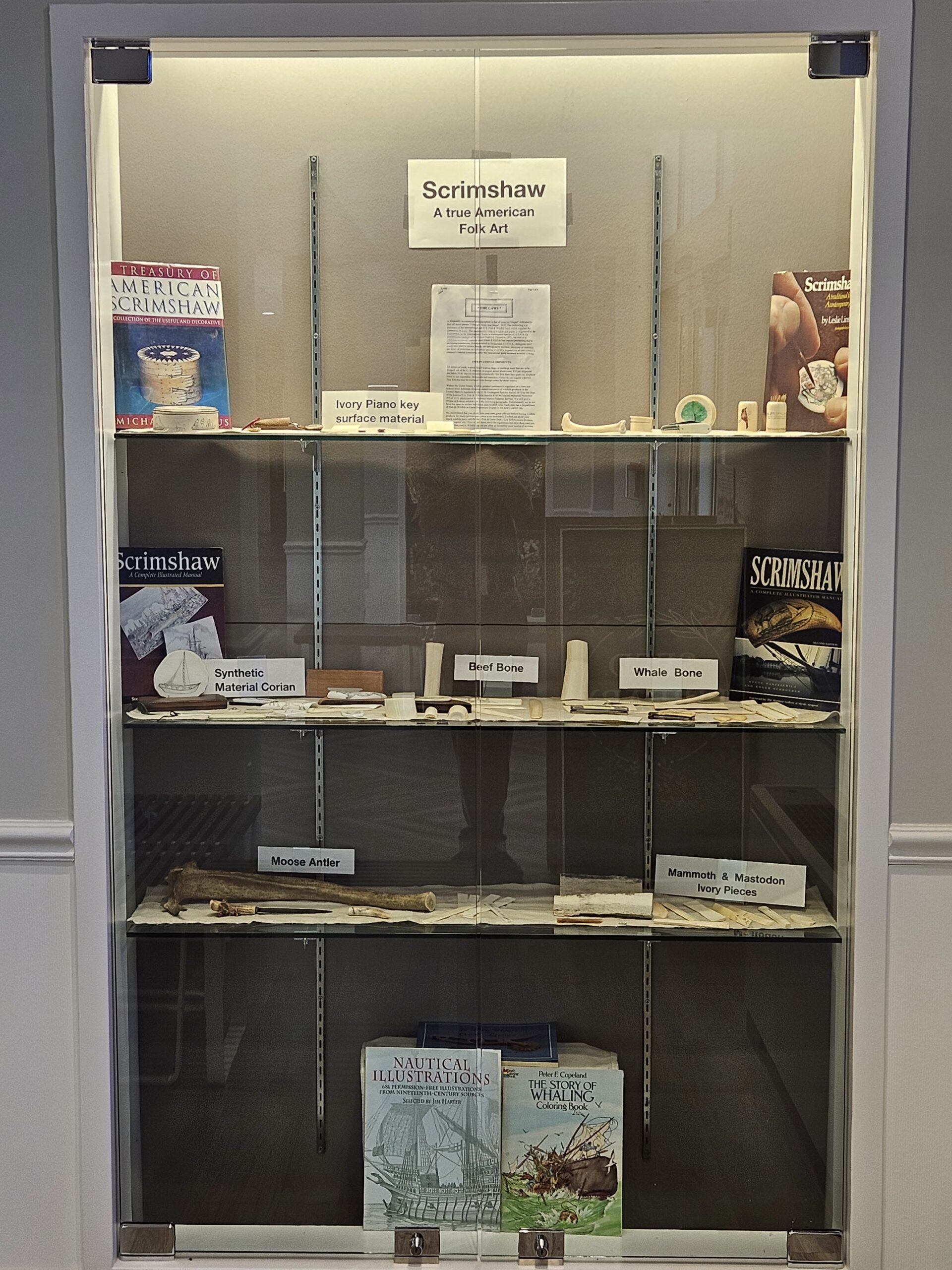 Monthly Displays - Bayport-Blue Point Library